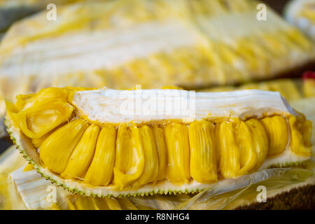 Jackfruit Flesh (Artocarpus heterophyllus )Texture with the sitcky ...