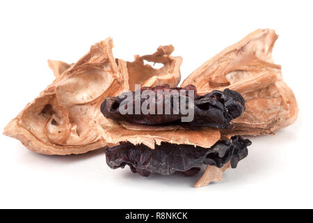spoiled walnut isolated on a white background closeup Stock Photo - Alamy