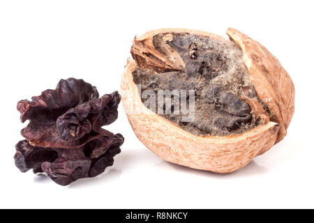 two rotten walnuts isolated on white Stock Photo - Alamy