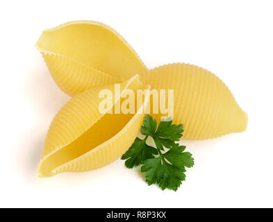 Italian lumaconi with leaf parsley isolated on white background ...