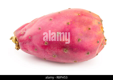 red prickly pear or opuntia isolated on a white background Stock Photo ...