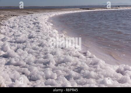 The biggest saltworks plant in the world, Salt harvest 6 to 8 months ...