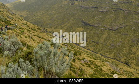 Mackinder's Valley in Mount Kenya Stock Photo - Alamy