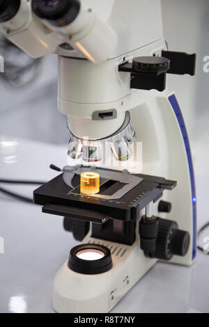 Digital microscope and monitor in the laboratory Stock Photo - Alamy