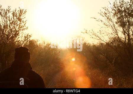 Silhouetted man tracking footprints from the front of a safari vehicle ...