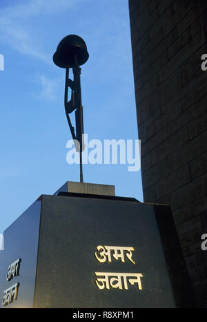 Amar Javan Jyoti India Gate war memorial New Delhi India Stock Photo ...