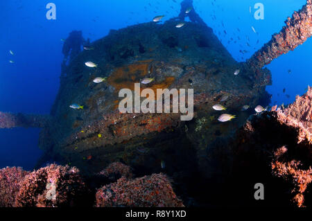 Boris Wreck in Sal- Cabo Verde Stock Photo - Alamy
