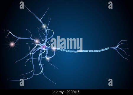 Nerve cell anatomy in details. 3D illustration Stock Photo - Alamy