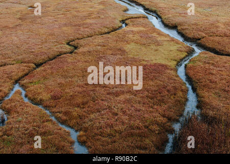 Elevated view of marsh and tidelands at dusk, Drakes Estero, Point ...