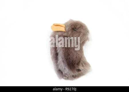 Vintage Faux Fur Mouse Finger Puppet Stock Photo - Alamy
