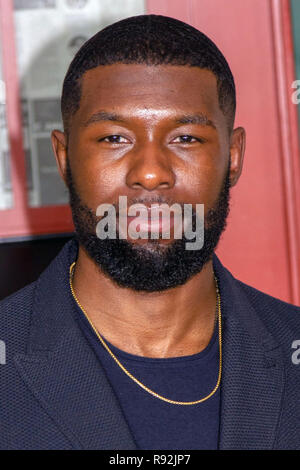December 17, 2018. Trevante Rhodes attend NetFlix screening of Bird Box ...