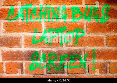 Writing note showing Catching Bugs Laptop Screen. Business photo ...
