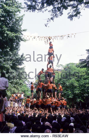 Govinda Dahi Handi ; human pyramid in process of breaking dahi handi ...