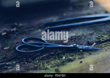Old metal bonsai tools on old wooden table Stock Photo - Alamy