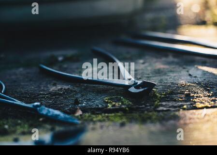Old metal bonsai tools on old wooden table Stock Photo - Alamy