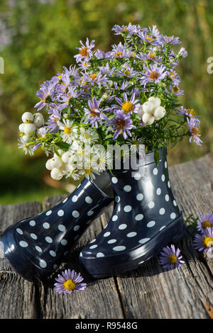 Blue rubber rain boots watering can sprayer gan hose on the table in ...