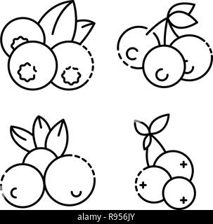 Huckleberry. Outline icon of berries and leaves. Blueberry or ...