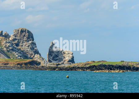 Gannet colony on Ireland's Eye off Howth peninsula, Dublin, Ireland ...