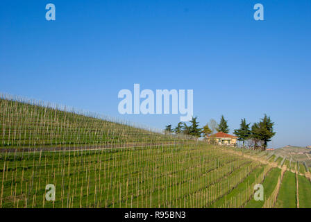 View of Langhe hills around Barolo with vineyards, Piedmont - Italy ...