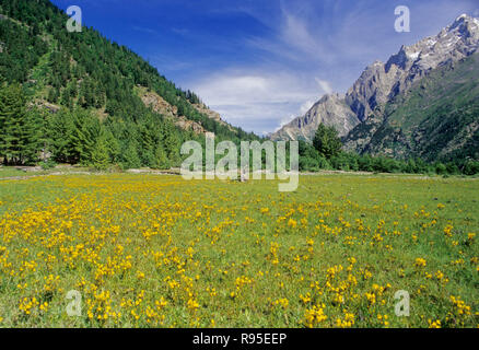 Landscape, Raksham, sangla, kinnaur, himachal Pradesh, India, Asia ...