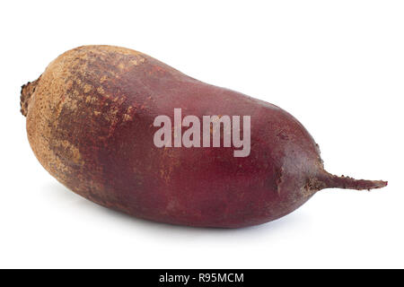 Long beet root closeup isolated on white background Stock Photo - Alamy