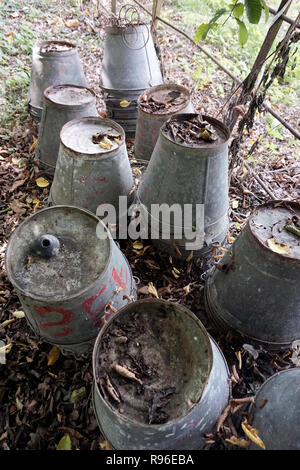 Galvanised metal buckets Stock Photo - Alamy