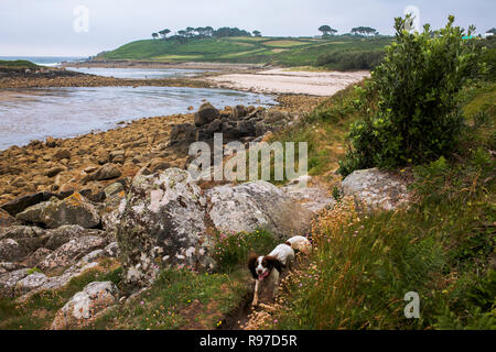 Pelistry Bay, St Mary's, Isles of Scilly, Cornwall, England, UK Stock ...