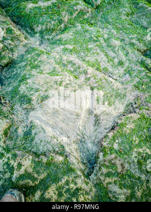 The famous Dinosaur footprints at An Corran beach by Staffin on the ...