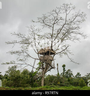 A little hut in in the tropical jungle of Chitwan National Park, Nepal ...