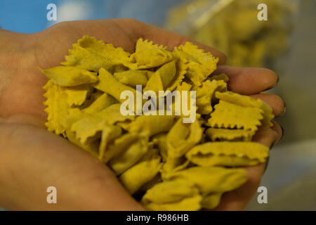 Agnolotti: home made pasta of the Langhe, Piedmont - Italy Stock Photo ...