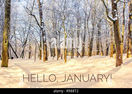 Hi January photo. The beginning of the New Year. Greeting card. Hi ...