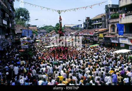 Human pyramid breaking pot ; Janmashtami or Gokulashtami festival ...