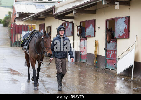 Jockey and stable lad at racing stables Britain 1950s Stock Photo - Alamy