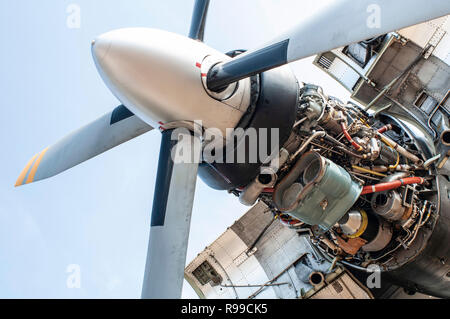 Engine and propeller of a military plane. Disassemble and repair engine ...