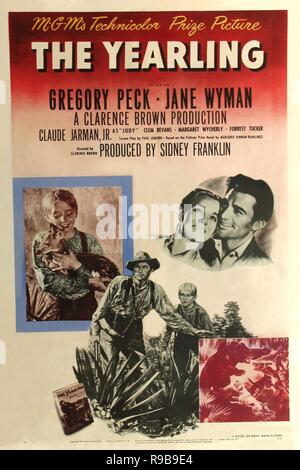 THE YEARLING -1946 POSTER Stock Photo - Alamy