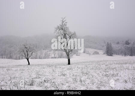 winter comes in Trentino Alto Adige Stock Photo - Alamy