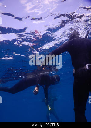 Free diving in the sea at Noli, Liguria - Italy Stock Photo - Alamy