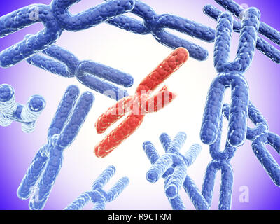 Broken red X chromosome and full blue X chromosomes on abstract ...