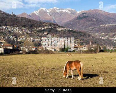 Dongo, Italy - December 22, 2018: Amphibious vehicle in navigation at ...