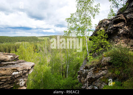 The view of mountains with spring green boreal forest, Chena River ...