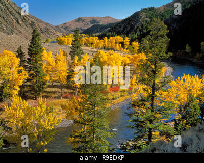 fall colors along the big hole river near melrose, montana Stock Photo ...