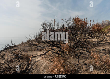 Aftermath of the Woolsey fire at the El Matador State Beach in Malibu ...