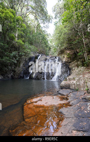 Dinner Falls are the upper part of the Barron River, Hypipamee National ...