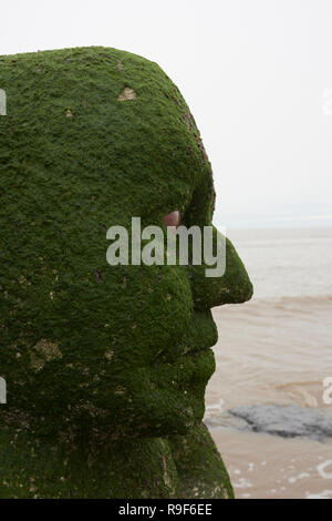 Stone Ogre sculpture showing algal growth, on cleveleys beach on the ...