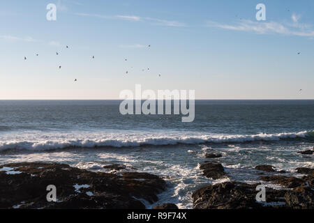 A flock of seagulls flies over the waves Stock Photo - Alamy