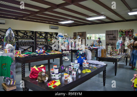 Gamboa, Panama, Sloth, Sanctuary with souvenir shop Stock Photo - Alamy