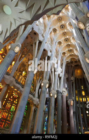 The columns of the inside of the Sagrada Familia, designed by Gaudí, in ...