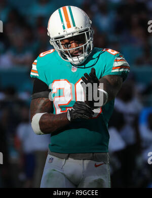Miami Dolphins safety Reshad Jones (20) leaps for Baltimore Ravens ...