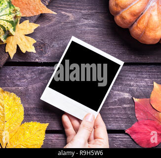 november template with autumn leaves on green background with copy ...