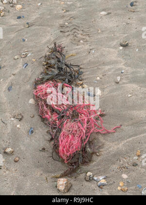 Polyester plastic rope / twine washed up on shore & polluting the ...
